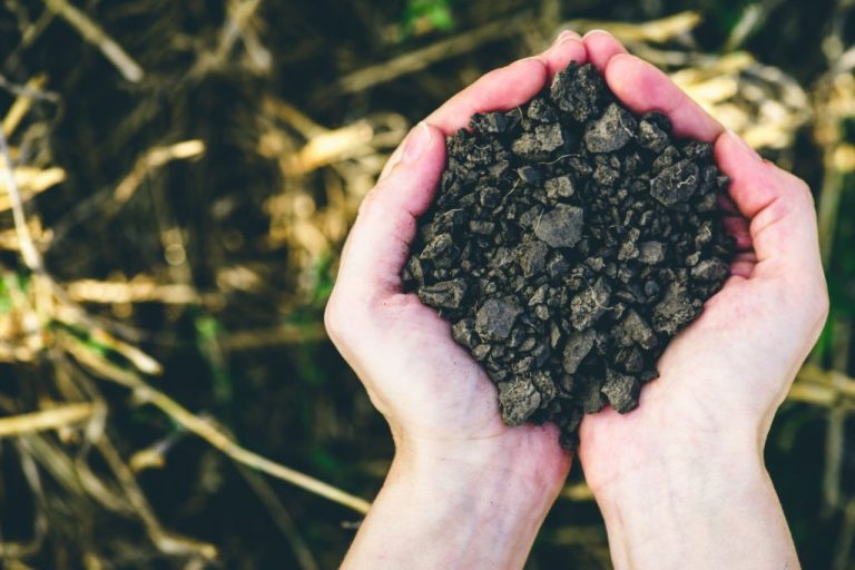How To Remove Rocks From Soil – Real Men Sow
