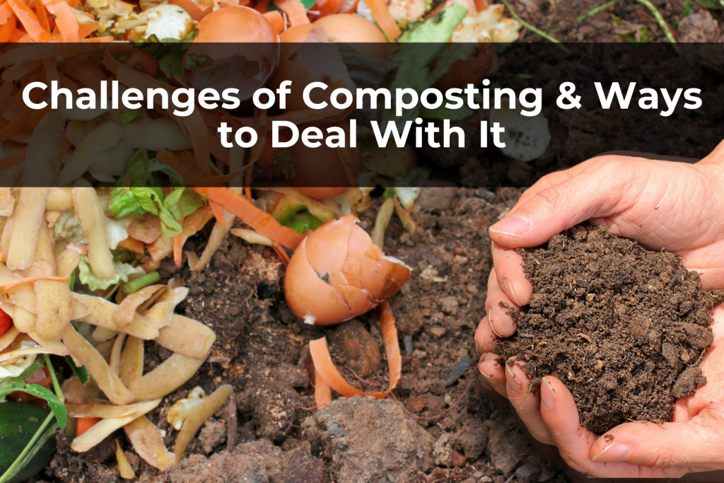 Challenges of Composting & Ways to Deal With It – Real Men Sow