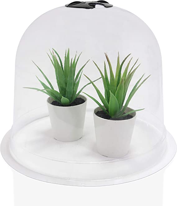 5 Garden Cloches To Best Protect Seedlings – Real Men Sow