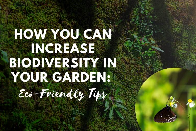How You Can Increase Biodiversity In Your Garden: Eco-Friendly Tips ...